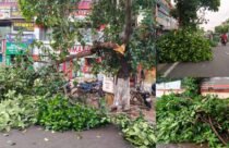 Sibling Bond: Odisha twin rejects IIT Bombay CSE seat to study with ...